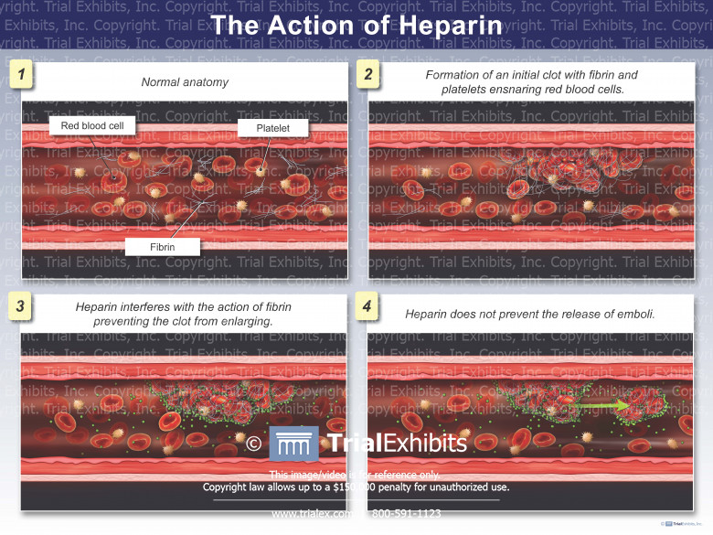 The Action of Heparin - TrialExhibits Inc.